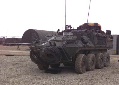 Mowag Piranha I Bison Command Post pictures picture photo image ...