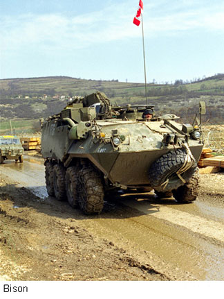 Mowag Piranha I Bison ARV pictures picture photo image Canadian wheeled ...