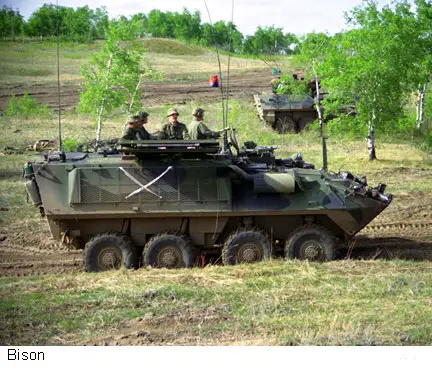 Mowag Piranha I Bison description identification pictures picture photo ...