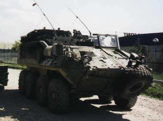 Mowag Piranha I Bison description identification pictures picture photo ...