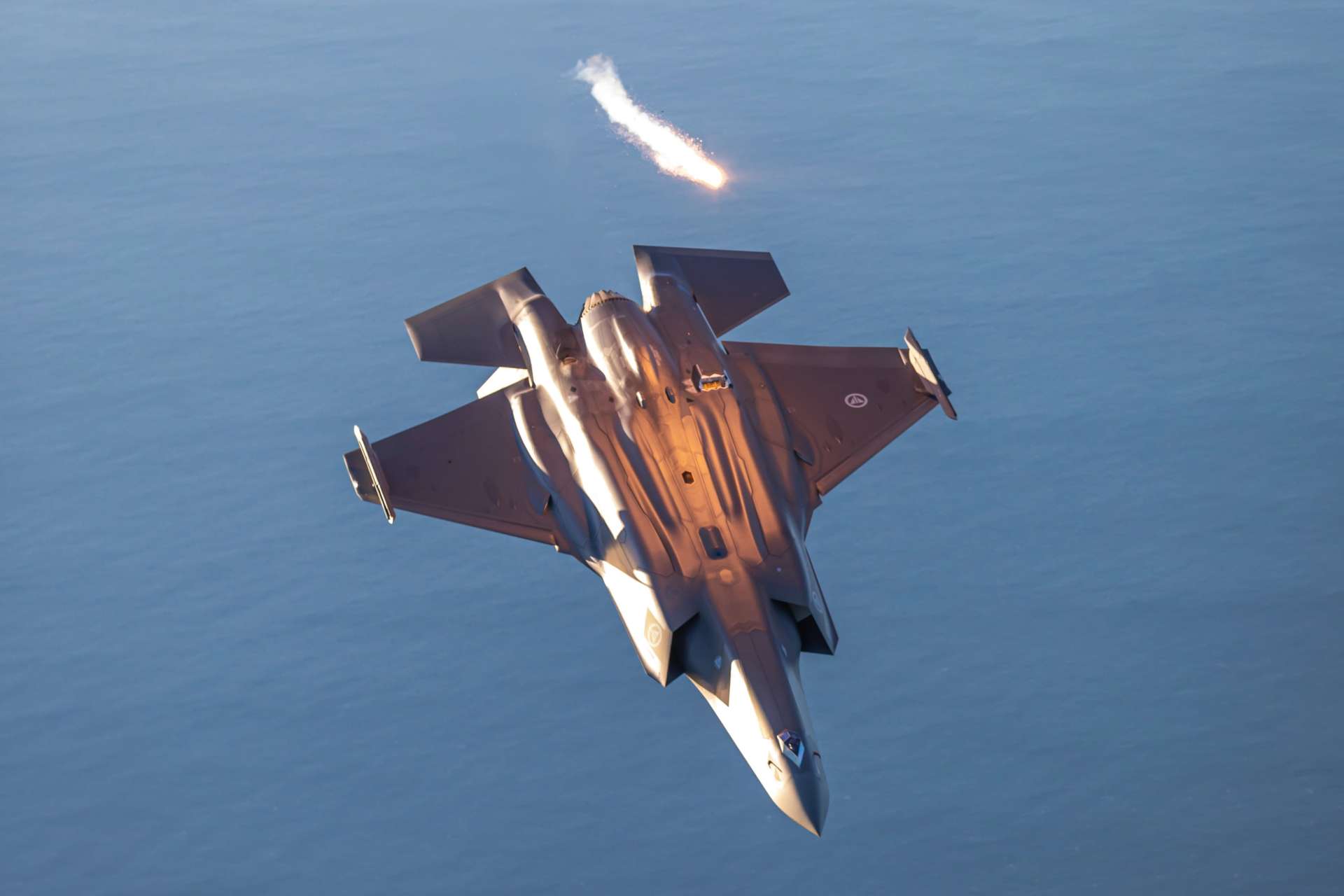 Norway Aims to Use Biofuel for Its F-35 Multirole Fighters