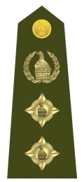 Zimbabwe Army ranks land ground forces combat field uniforms military ...