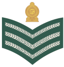 Army Ranks in Sri Lanka | ElaKiri