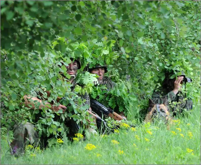 Serbia Serbian Army ranks land ground forces field combat uniforms ...