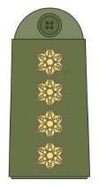 Ranks combat fied uniforms soldiers Danish army Denmark land ground ...
