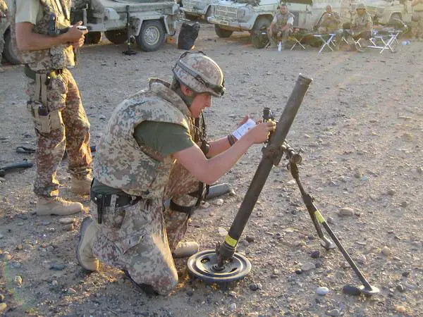 Ranks combat fied uniforms soldiers Danish army Denmark land ground ...