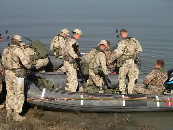 Ranks combat fied uniforms soldiers Danish army Denmark land ground ...