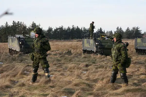 Ranks combat fied uniforms soldiers Danish army Denmark land ground ...