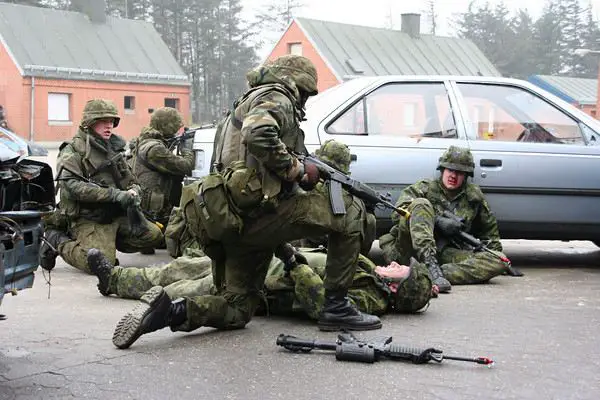 Ranks combat fied uniforms soldiers Danish army Denmark land ground ...