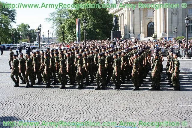 Brigade franco-allemande pictures photos images France French army land ...