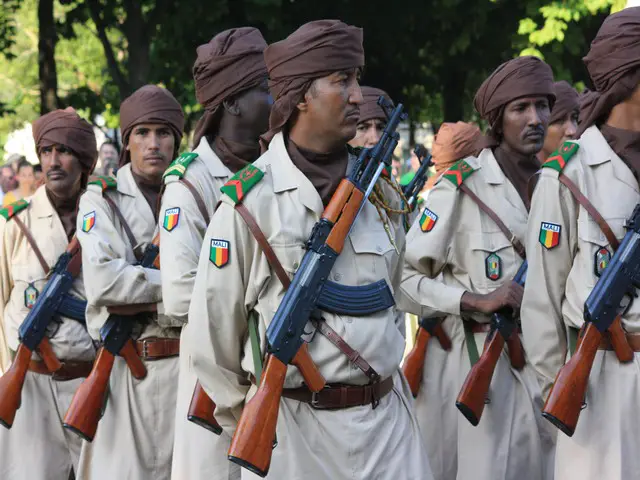 Mali armee malienne Malian army pictures photos images France French 14 ...