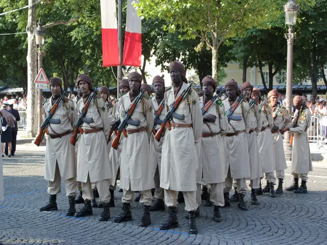 Mali armee malienne Malian army pictures photos images France French 14 ...
