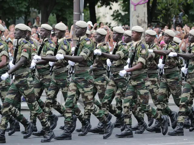 Senegal armee Senegalaise Senegal Senegalese army pictures photos ...