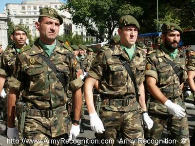 Spain Spanish Army ranks land ground forces field combat uniforms ...