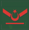 Turkish Army Turkey ranks combat field uniforms pictures land forces ...