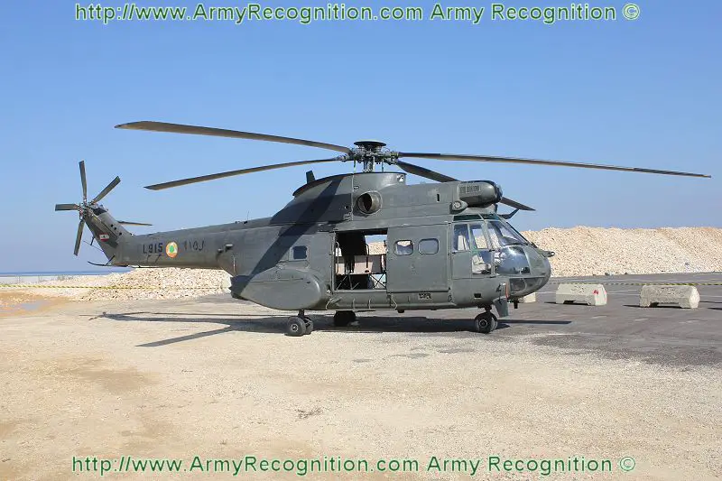 SMES 2011 pictures photos images video Defence Security Middle East Show Exhibition Homeland Confere