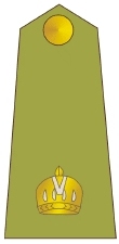 Qatar Armed Forces Logo