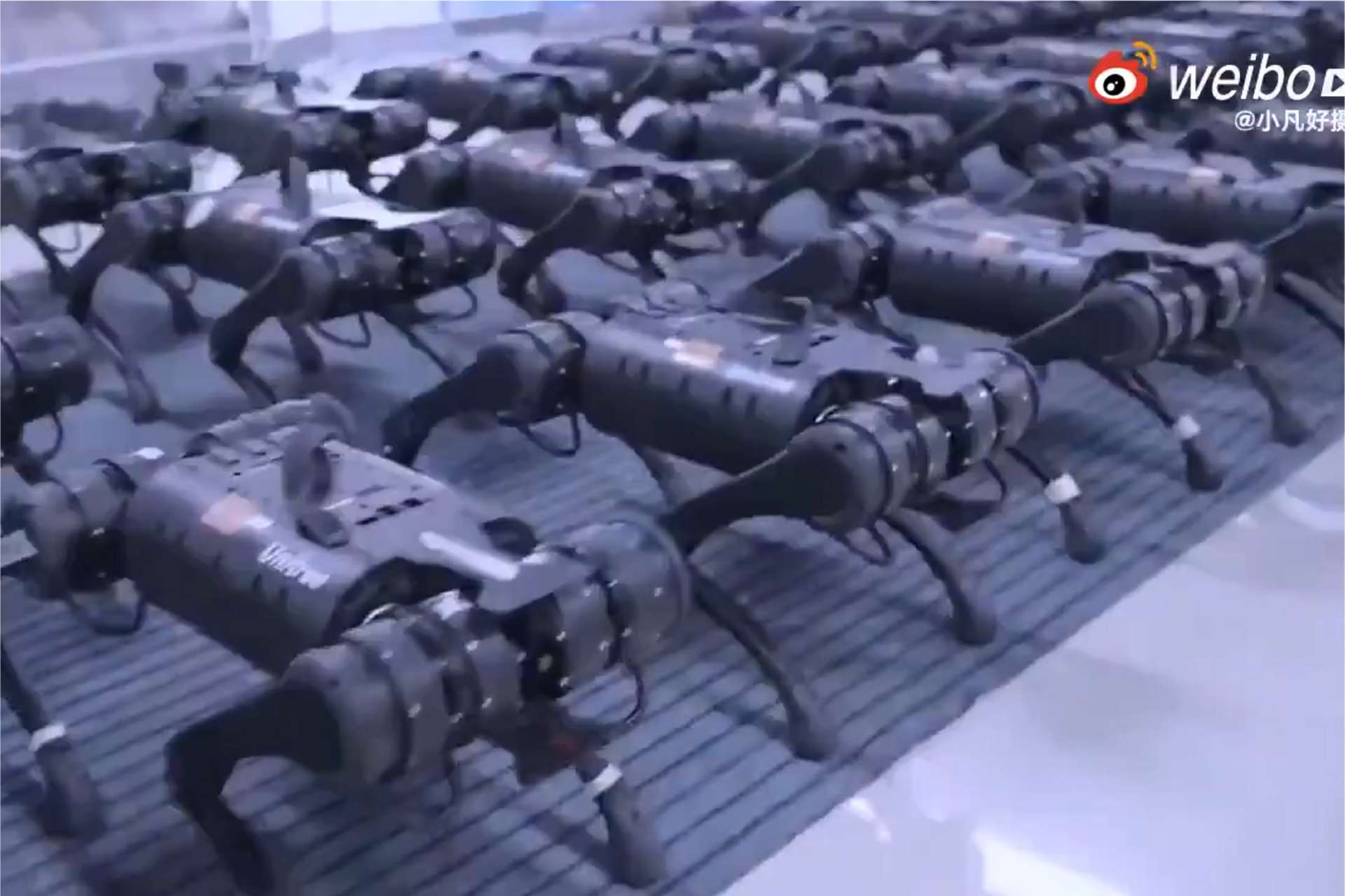 Is China Mass Producing Combat Dog Drones