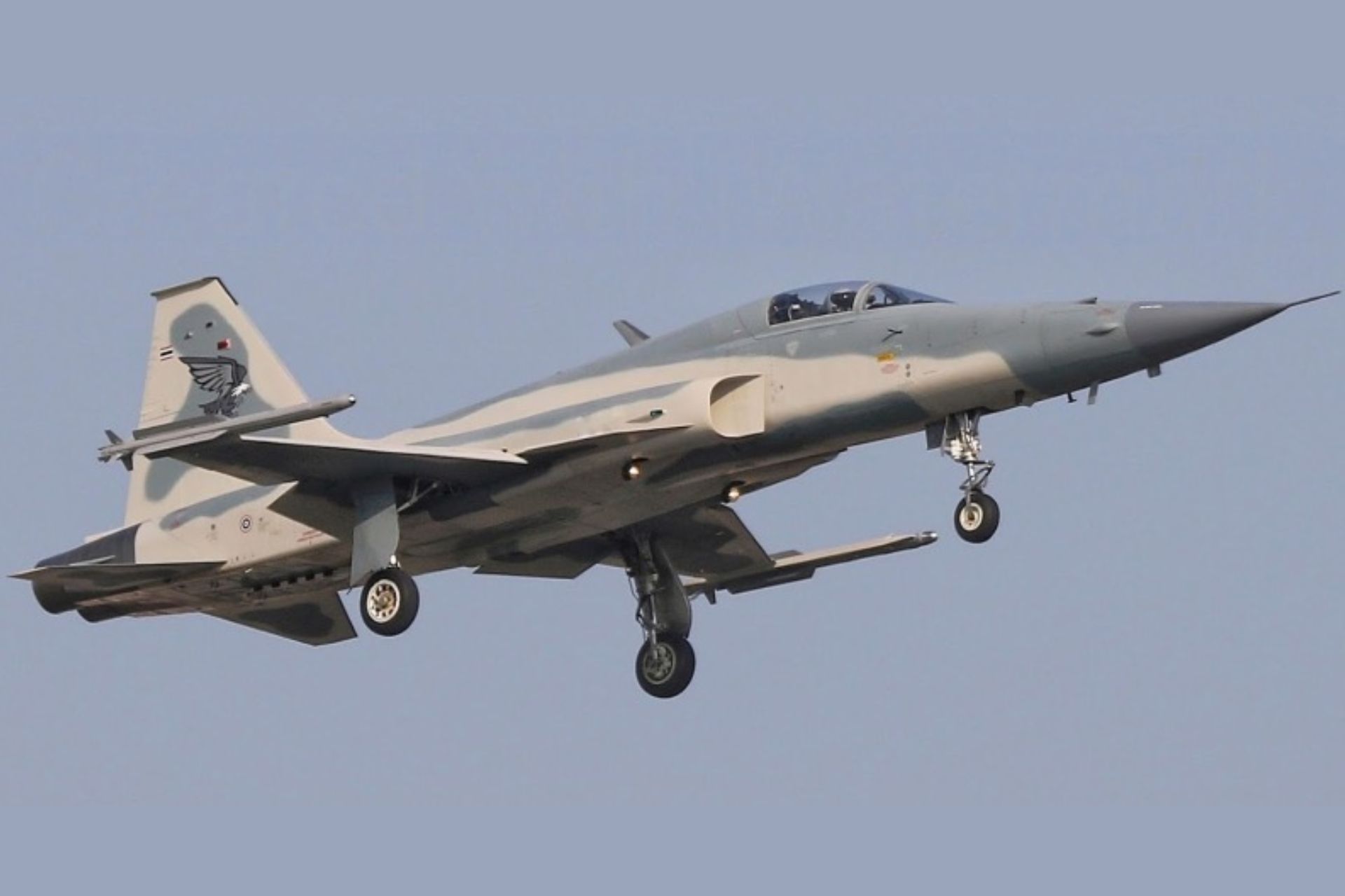 FOCUS | F-20 Tigershark: what's happened with missing US light fighter