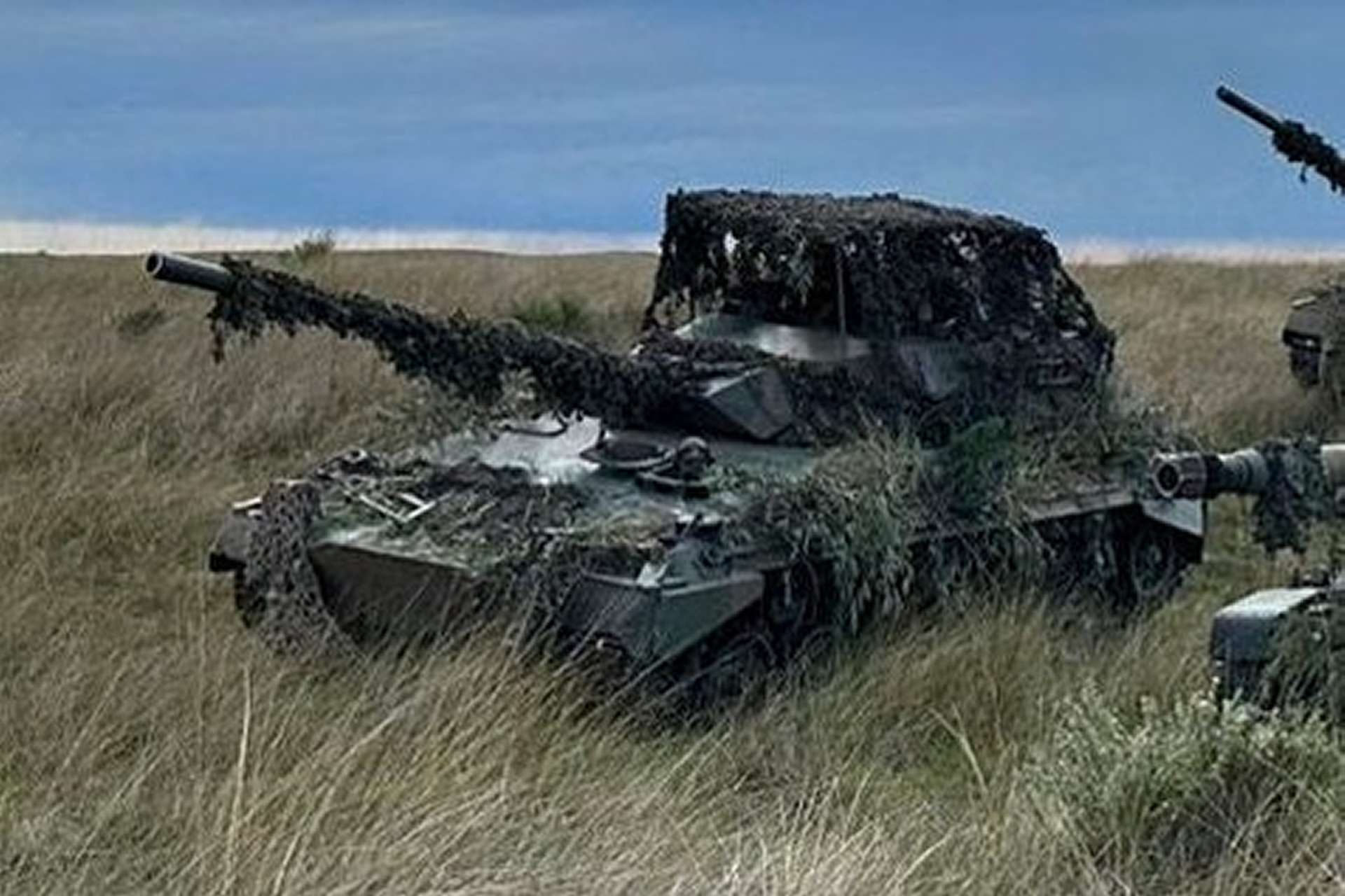 Argentina Reinforces TAM Tanks with Turret Cages Amid Escalating Drone ...
